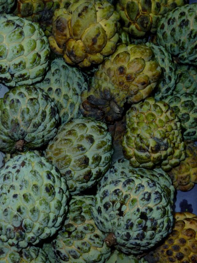 Perlaton Vol. 9 | PERLATON